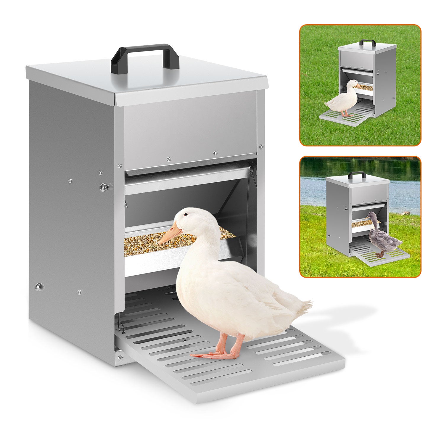 4x Comedero para pollos de acero galvanizado - Comedero automático de ...