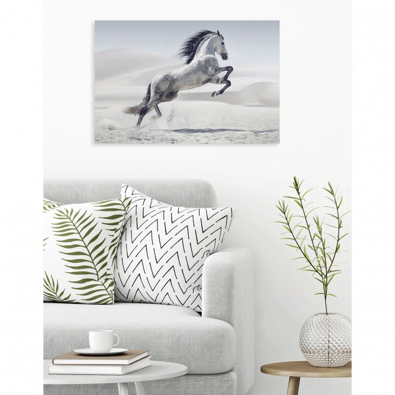 Tableau verre acrylique Cheval Dans Le Désert 90 x 60 cm - Décoration ...