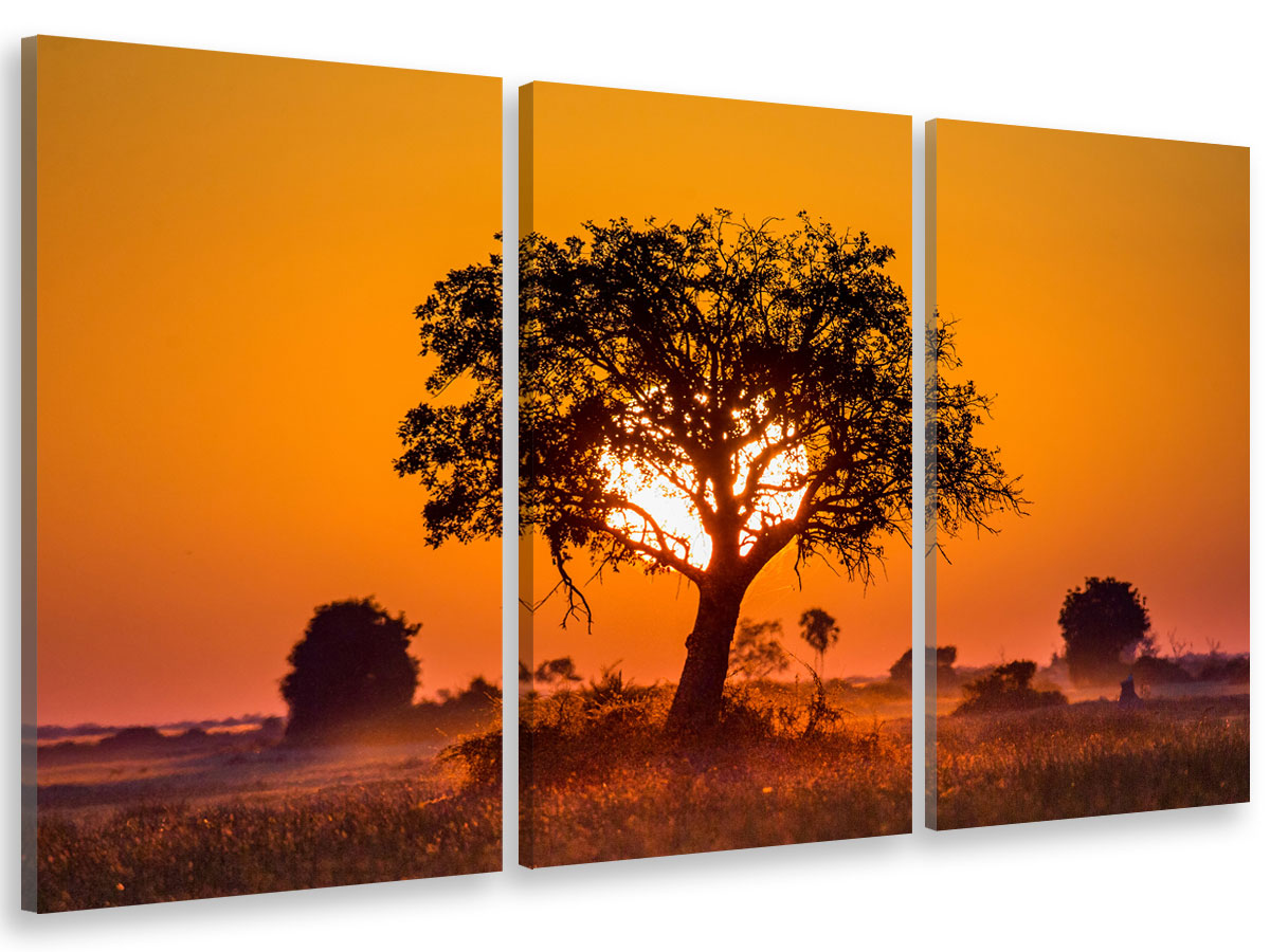 Tableau triptyque deco cache cache et coucher de soleil - 90x60 cm ...