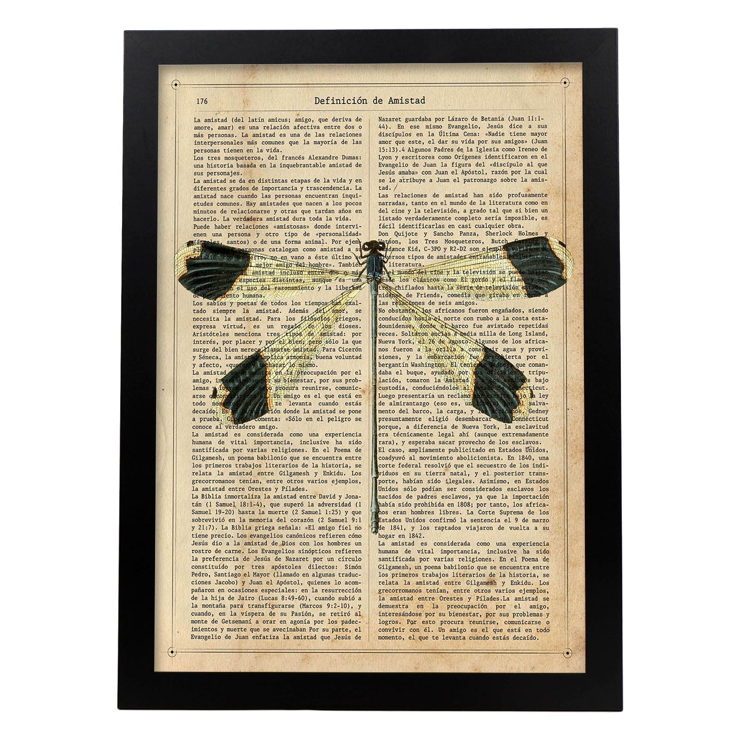 Affiche De Style Libelula Avec Définition Feuilles D'animaux Avec Texte ...