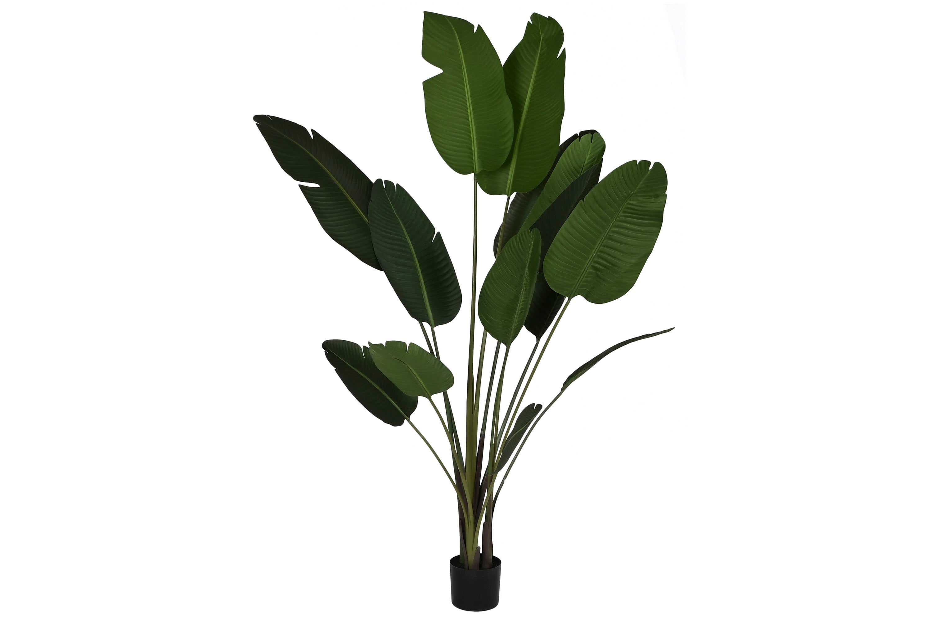 PACK DE 2 PLANTA PE CEMENTO 80X80X205 TRATAMIENTO UV VERDE | Leroy Merlin