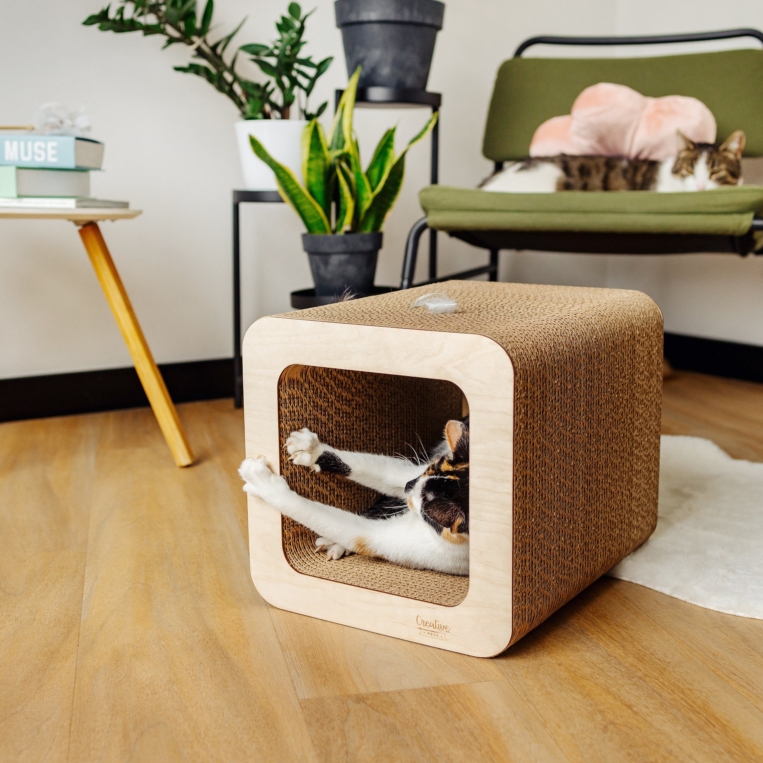 Creative Pets Griffoir pour Chat 37 x 30 x 30 cm + Maison en Carton ...