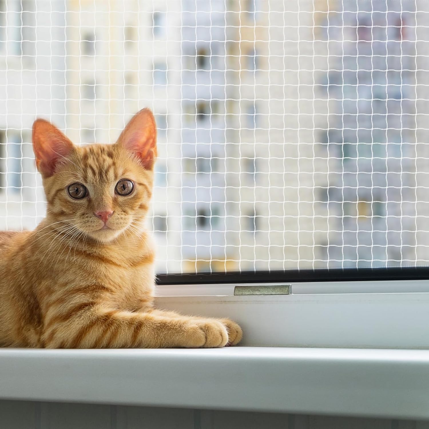 Filet de protection pour chat pour balcon transparent 10 x 3 m - filet ...