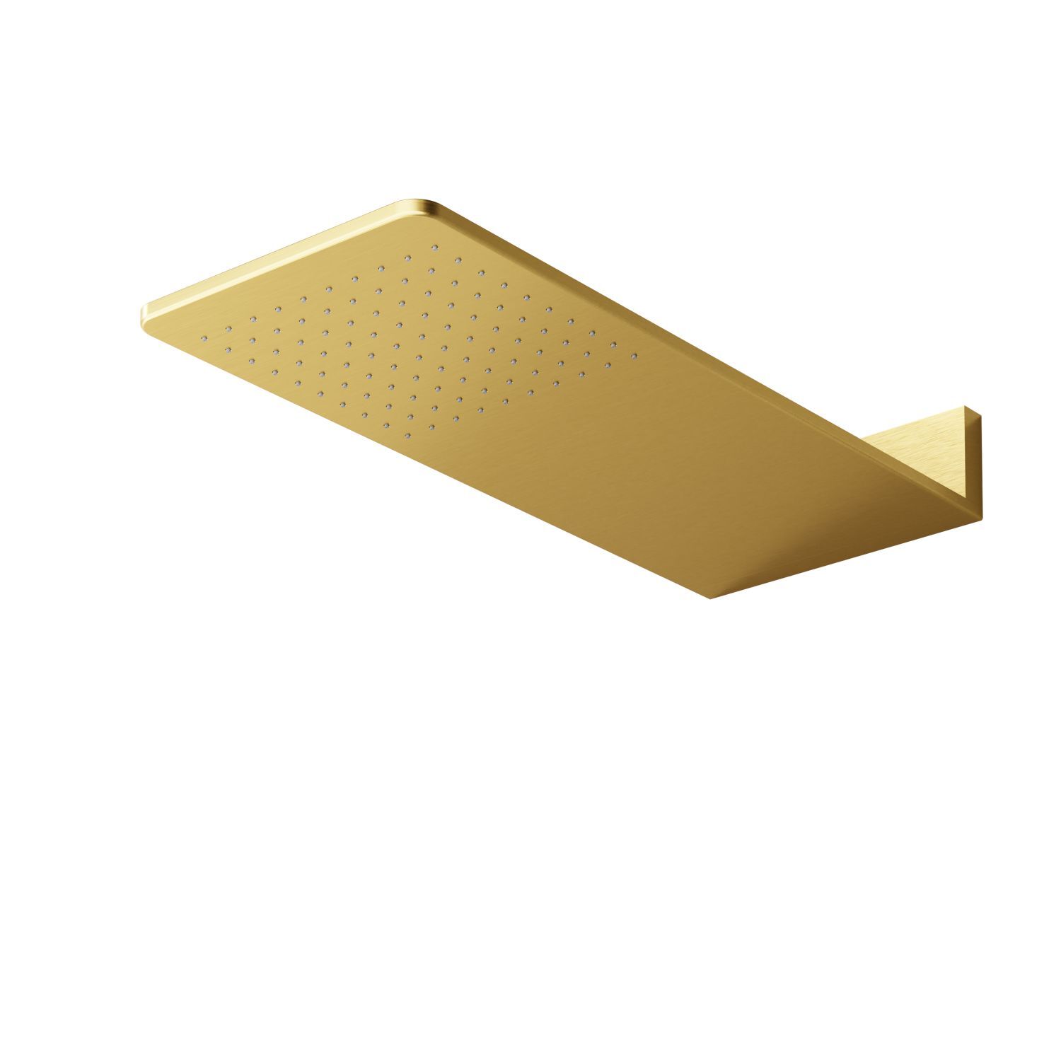 Steinberg Serie 390 Wall Ducha de techo tipo lluvia, con conexión ...