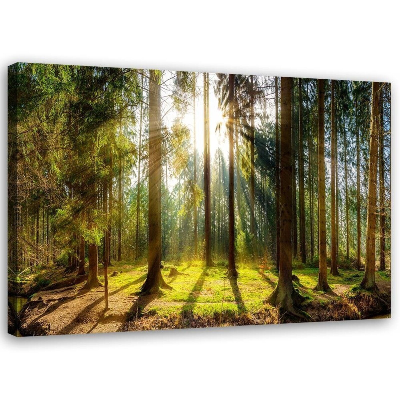 Tableau soleil derrière les arbres - 60 x 40 cm | Leroy Merlin