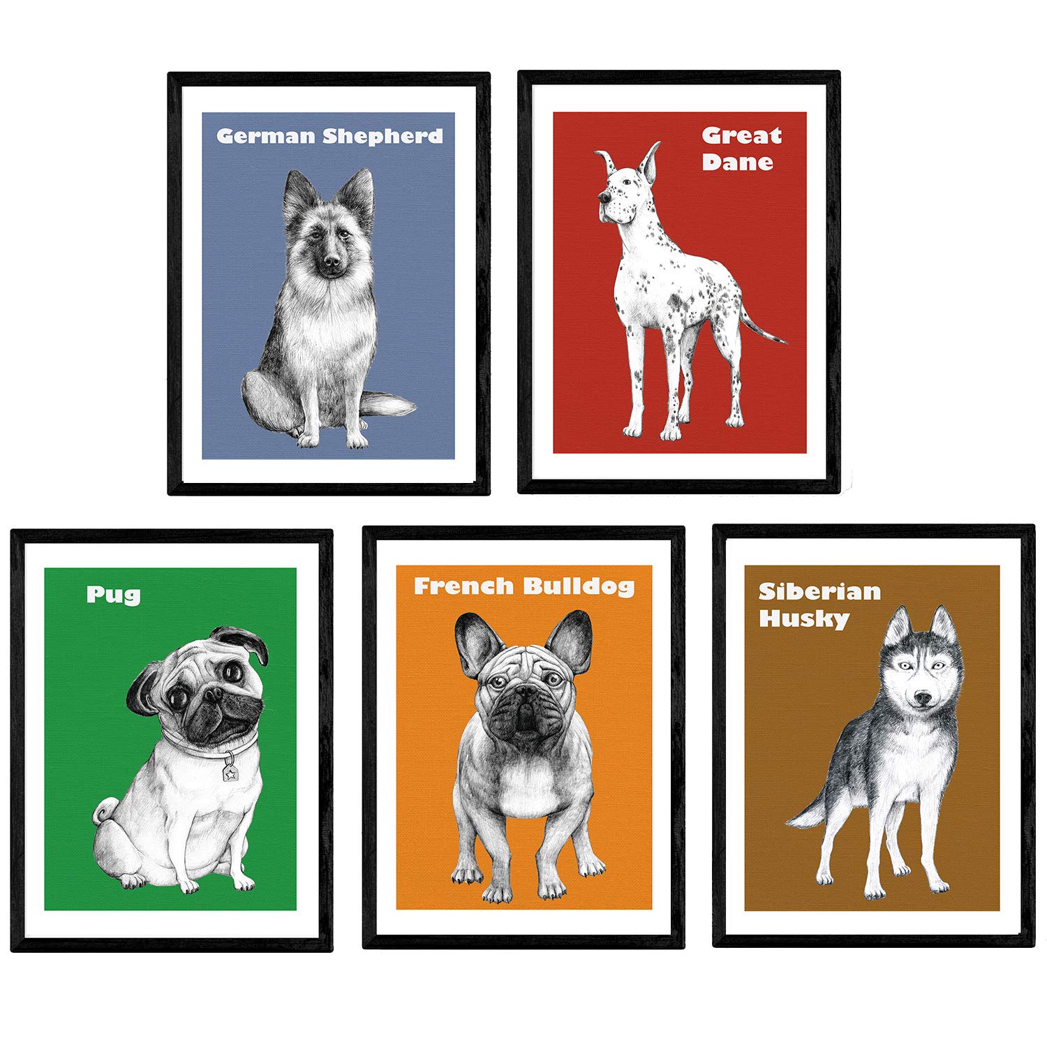 Pack De Posters De Perros De Raza Pop Art. Láminas Decorativas De ...
