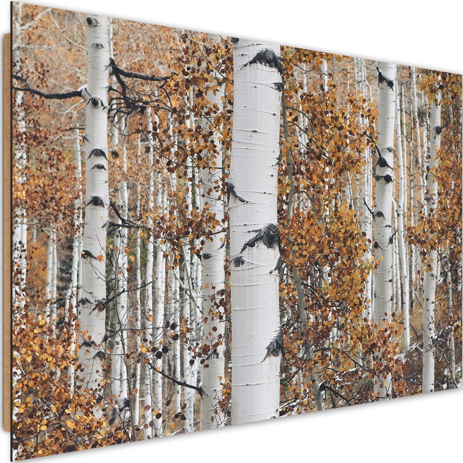 Tableau bouleau - 90 x 60 cm | Leroy Merlin