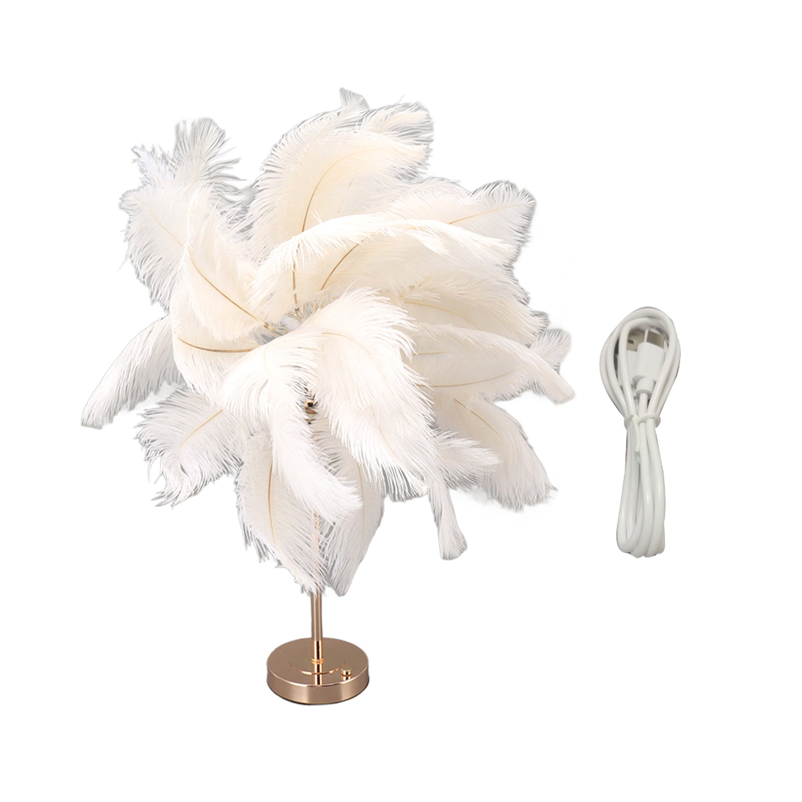 Lampe de table en plumes d'autruche rechargeable, lampe de décoration ...