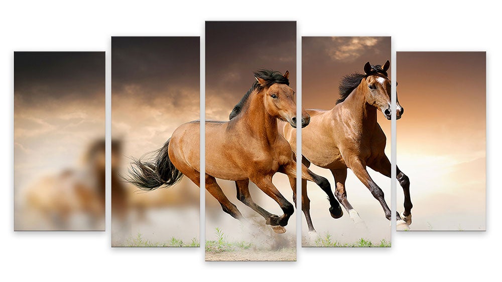 Cuadro 5 partes Cuadro de fotos de caballos galopando - 150x80 cm ...