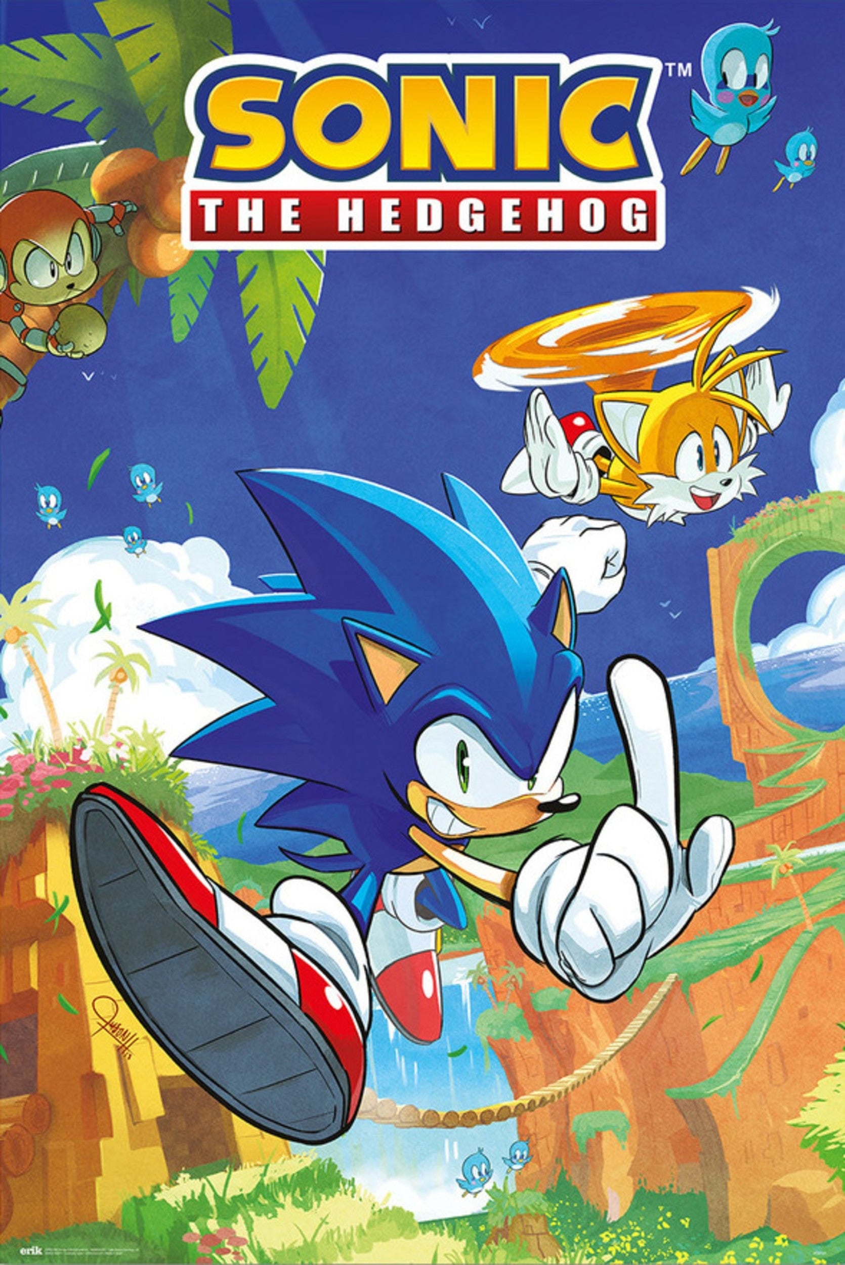 Poster Sonic the Hedgehog - and Tails 61x91.5cm | Leroy Merlin