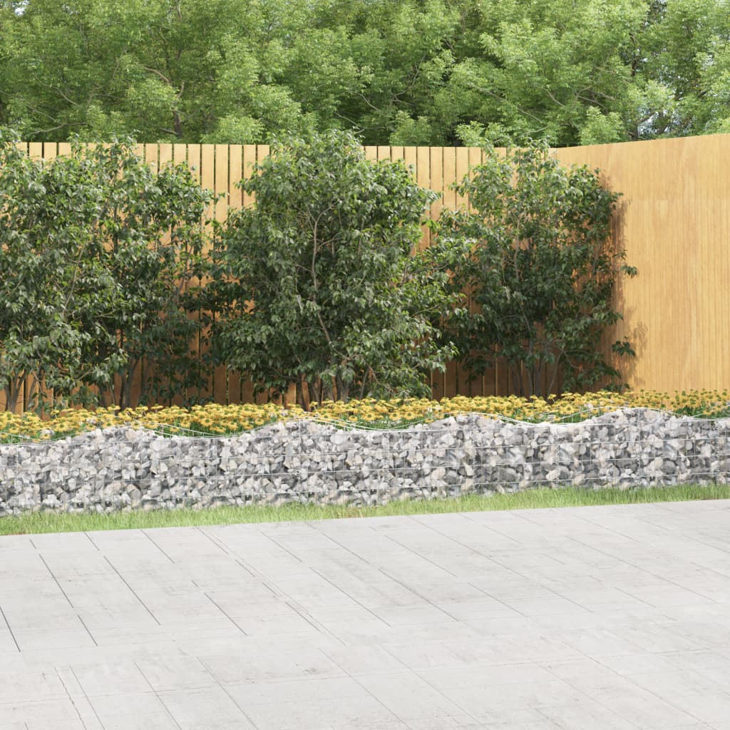 VidaXL Gabbione ad Arco con Letto Rialzato 800x100x50 cm Ferro Zincato ...