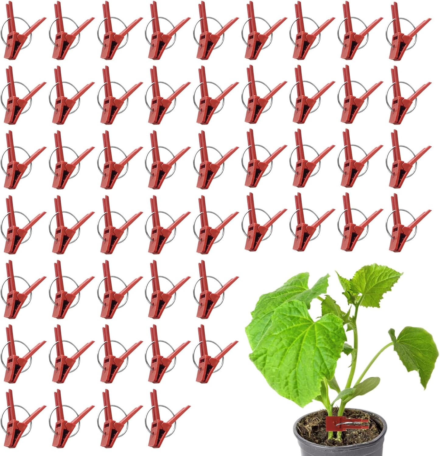 Lot de 50 pinces de fixation pour - Pour légumes, fraise | Leroy Merlin