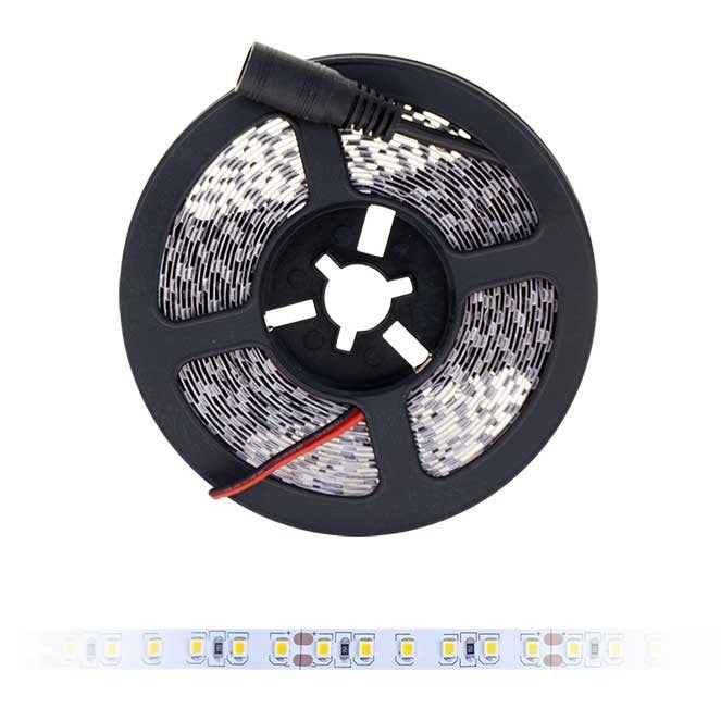 DISCOVERY Tira LED 24Vdc 9,6W/m 120LED/m 3000K 5m/rollo | Leroy Merlin