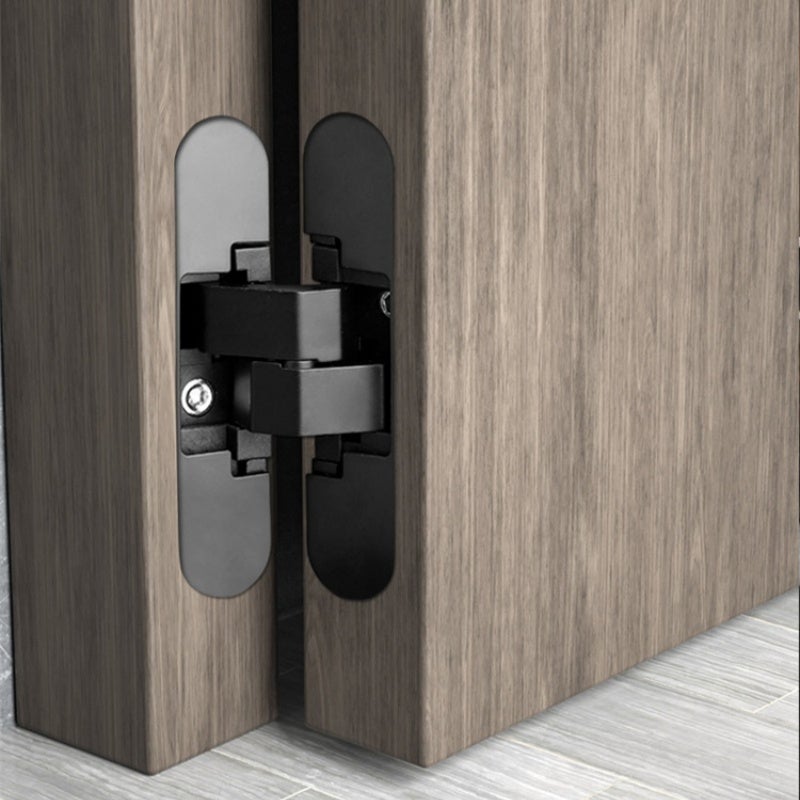 Lot de 2 Charnières Invisibles pour Portes - 180°, Charge 40kg, Noir ...