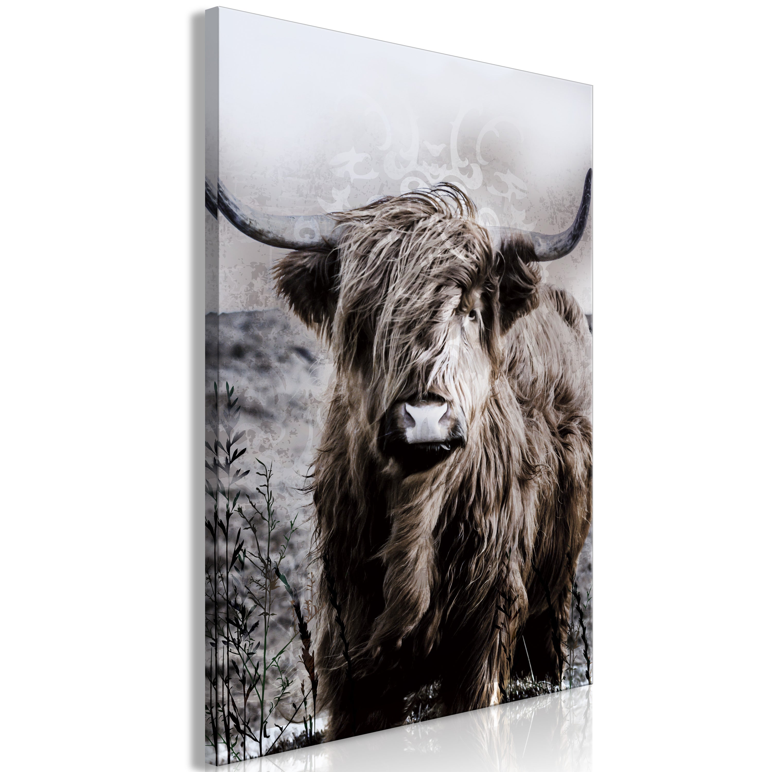 Tableau - Highland Cow in Sepia [20x30] | Leroy Merlin