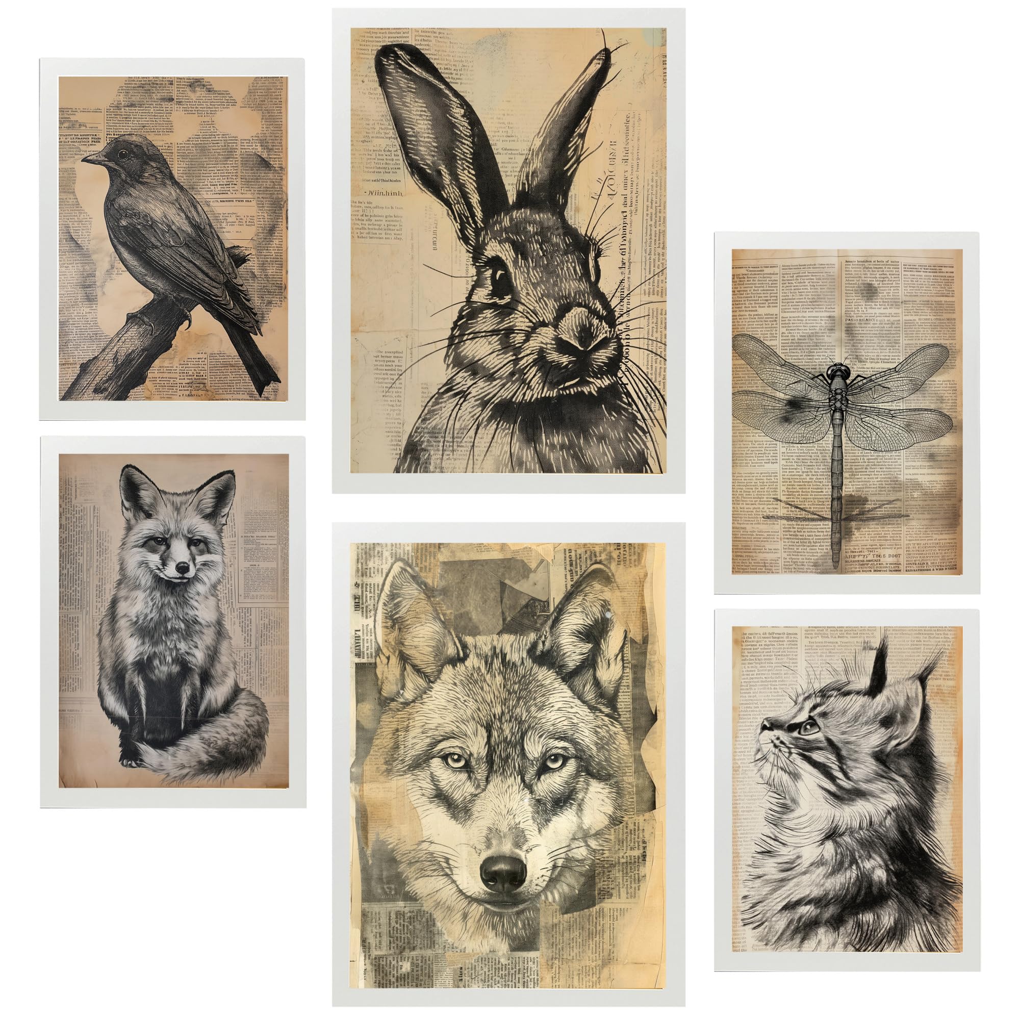 Set De 6 Vintage Animals. Bird, Rabbit, Dragonfly, Fox, Wolf, Cat ...