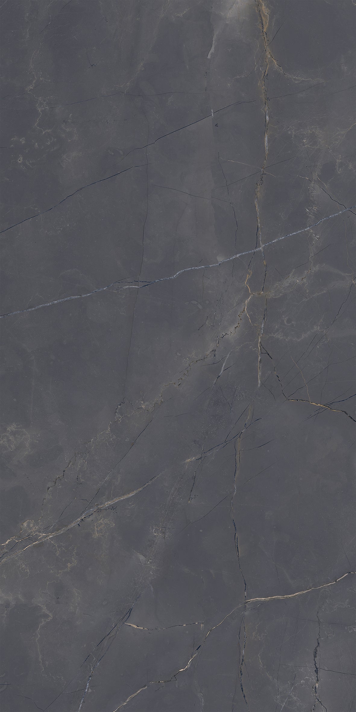 GRES PORCELLANATO EFFETTO MARMO NATURALE NERO LUCIDO 60X120 | Leroy Merlin