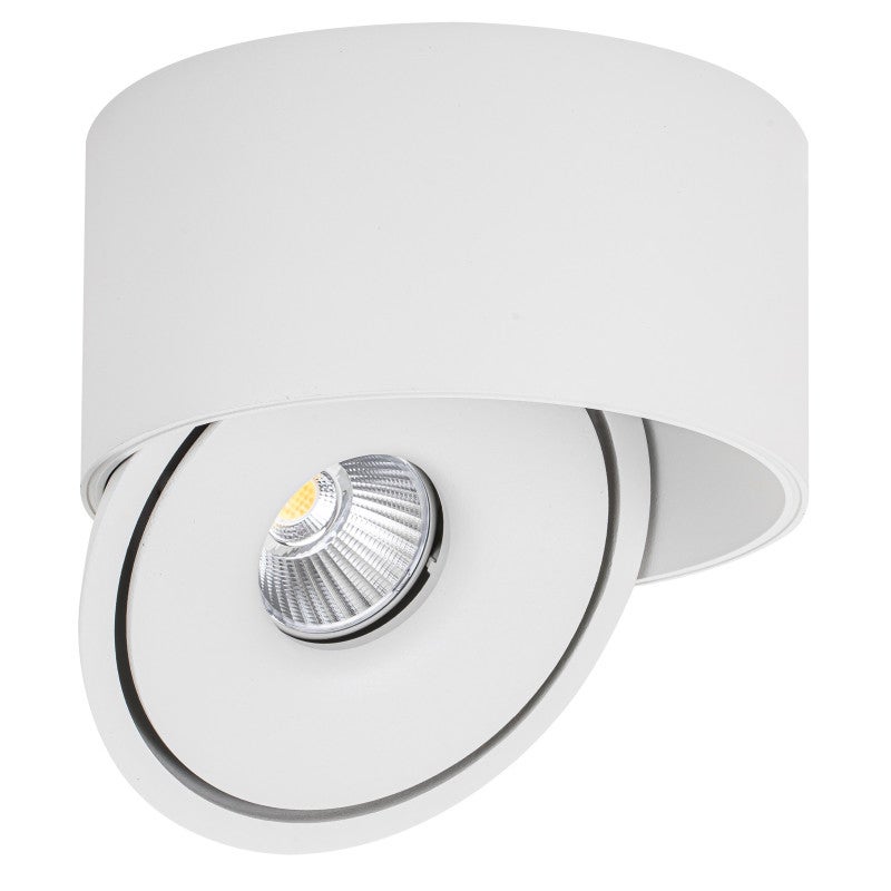Spot LED COB 30W Rond Rotatif - Blanc - CCT - Bridgelux - 3000 lm ...