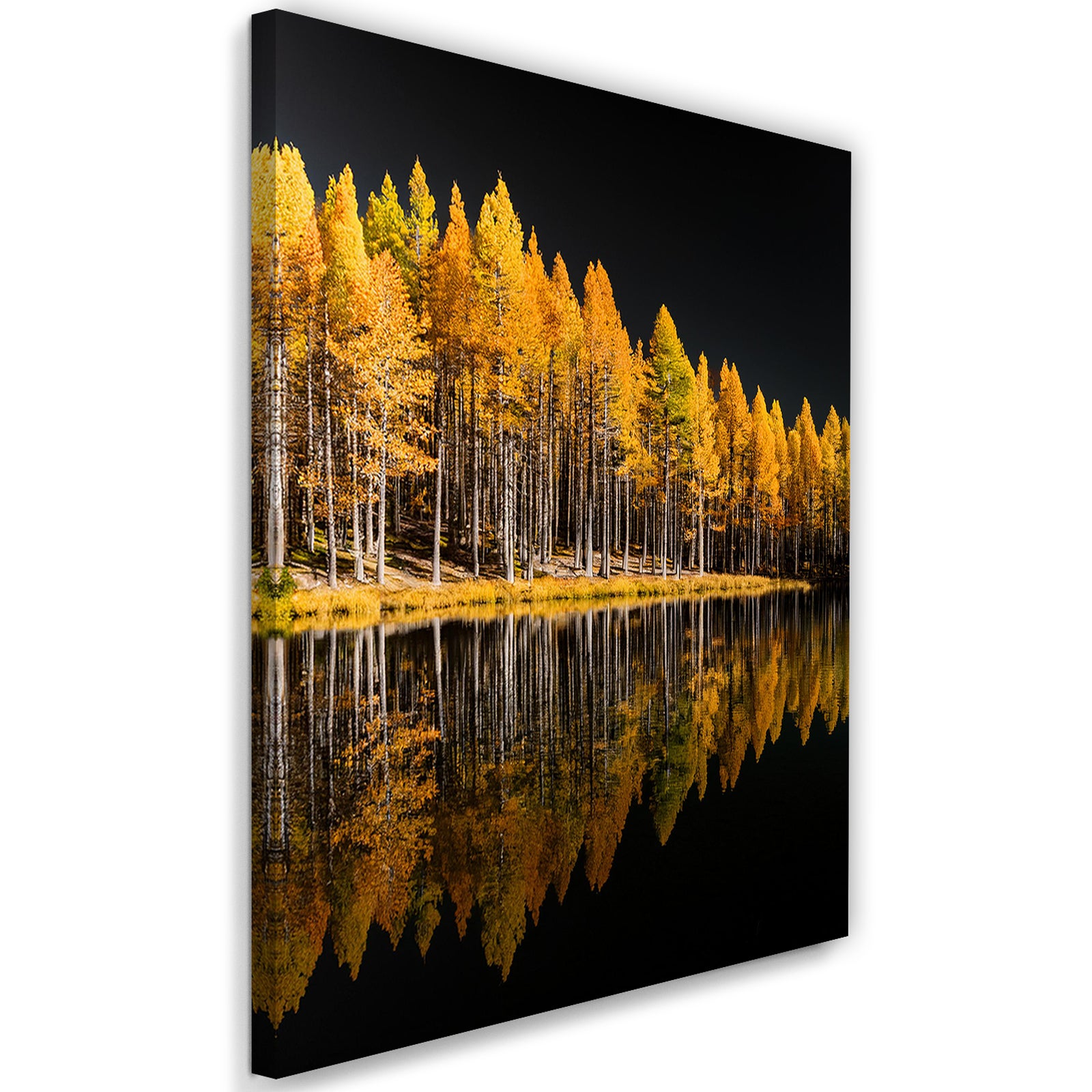 Cadre déco, Forêt d'or Automne Lac Nature Arbres 80x120 | Leroy Merlin