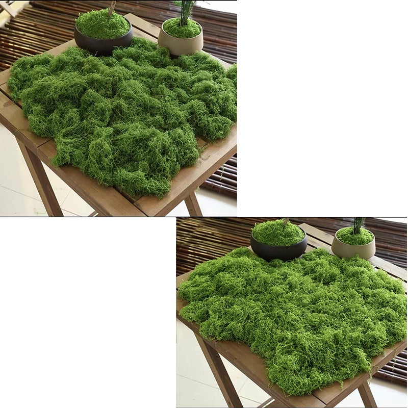 200 grammes de gazon de rocaille d'aménagement paysager, mousse de bloc ...