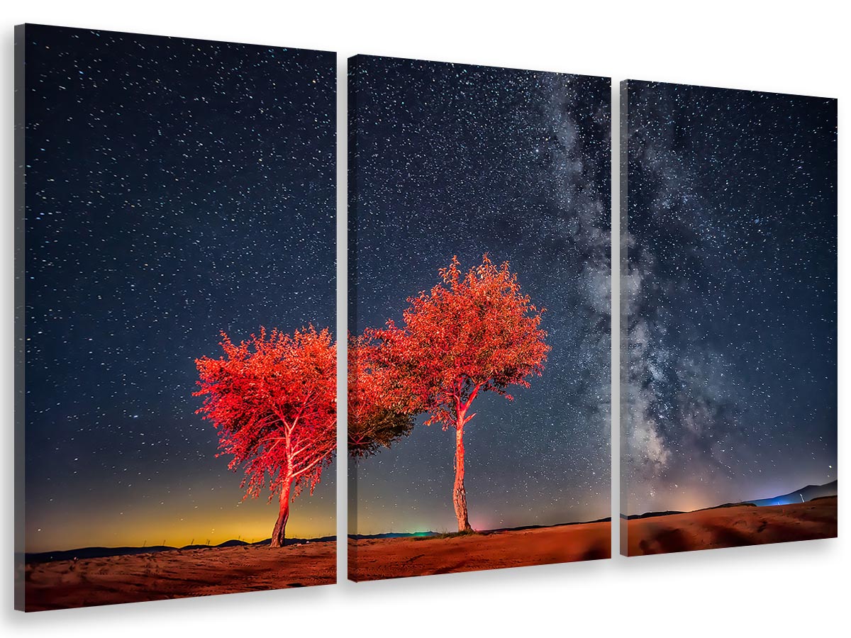 Tableau triptyque paysage beautiful clear starry sky - 90x60 cm | Leroy ...