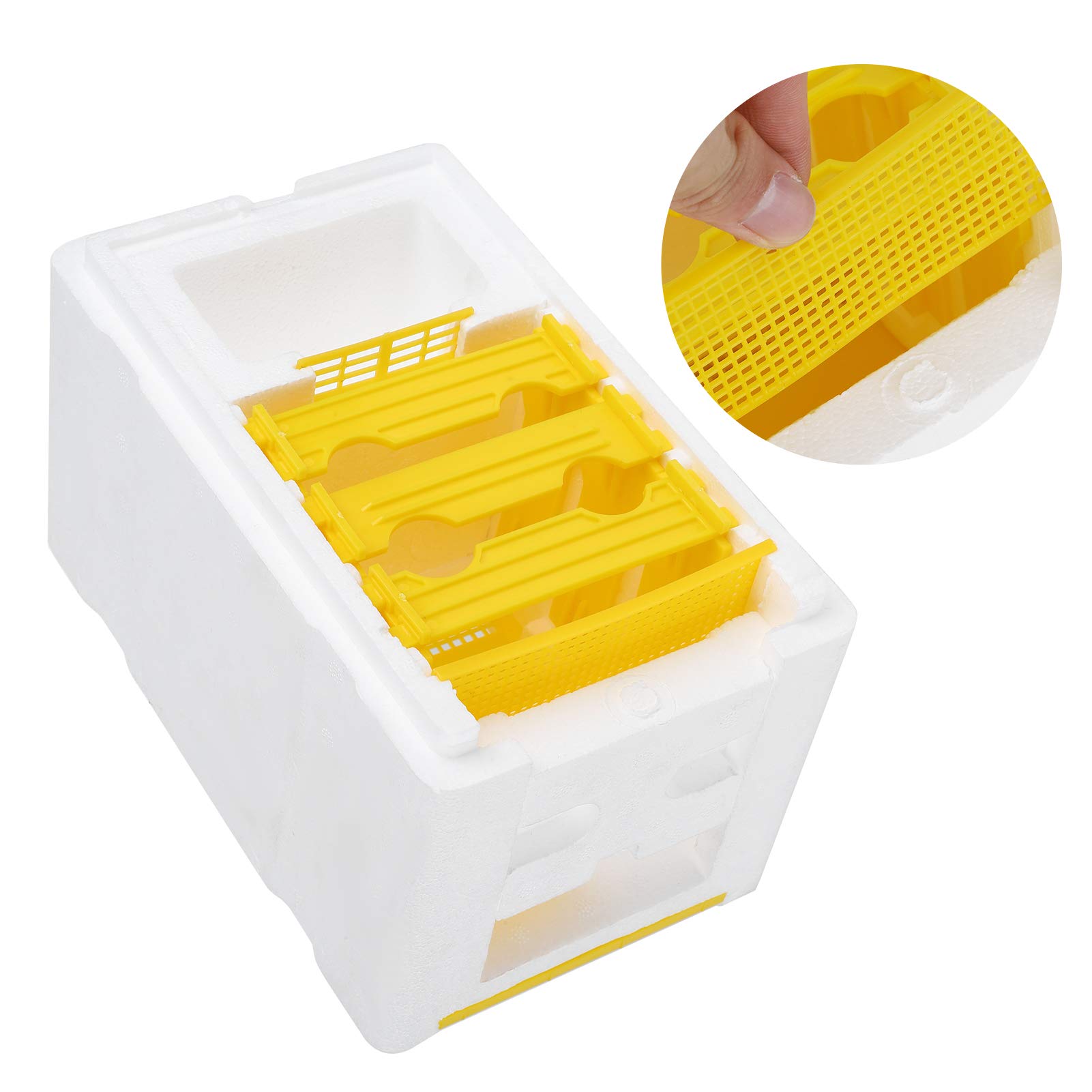 Boîte d'accouplement pour reine des abeilles, accessoire d'élevage en ...
