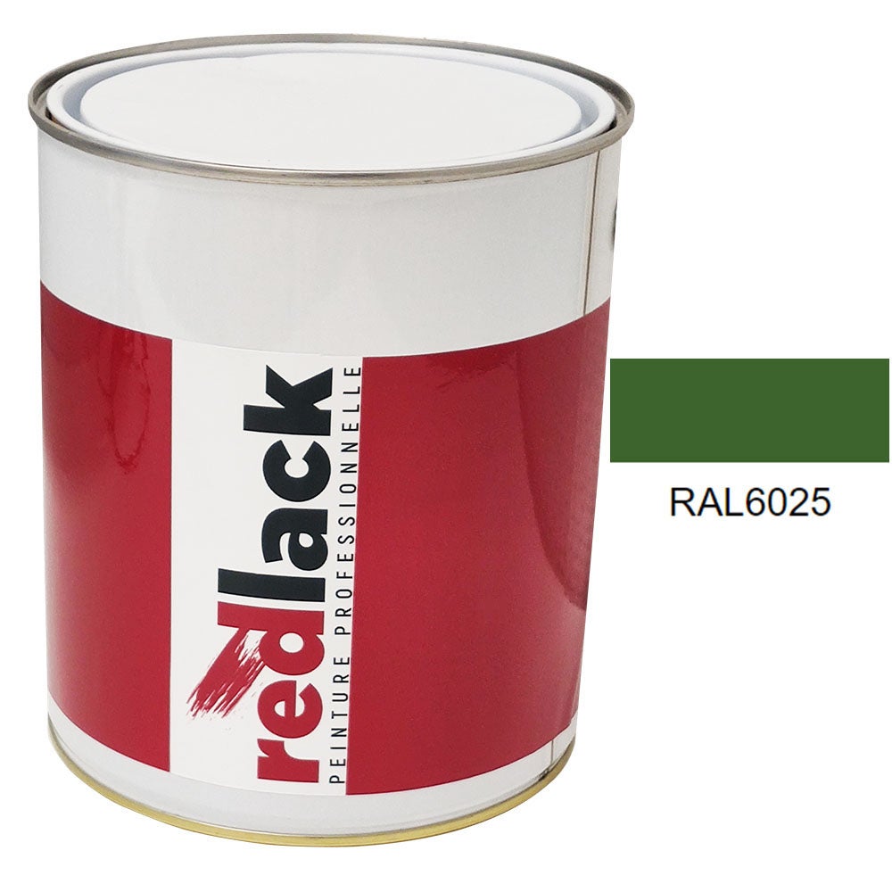 Pintura Verde Helecho RAL 6025 Multisoporte brillo 3L Redlack | Leroy ...