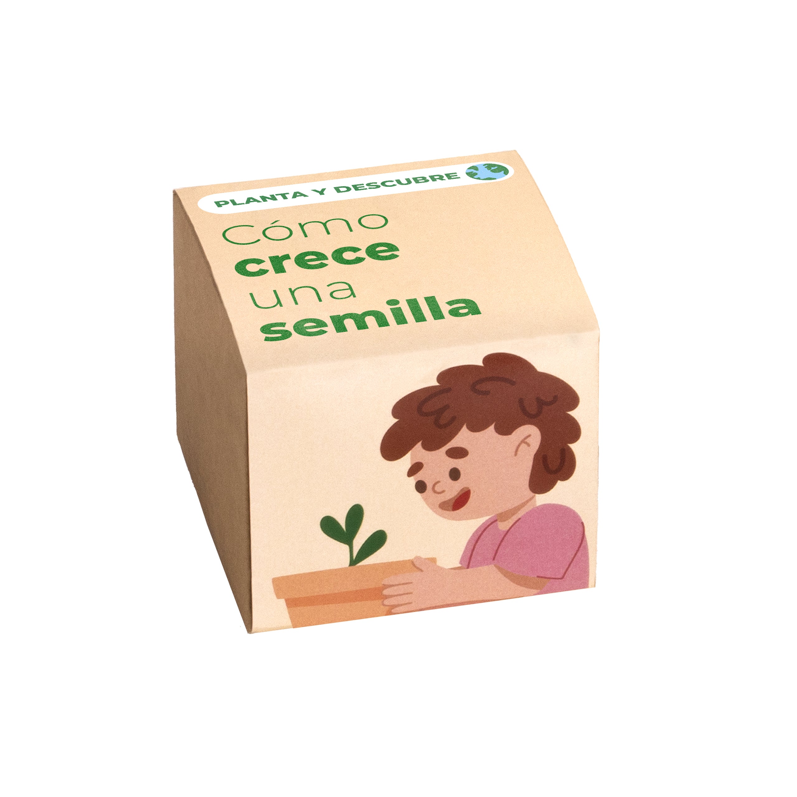 Planta y Descubre | kit germinación para niños | aprende cómo crece una ...