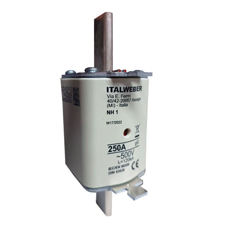 Fusible couteau Italweber NH-1 gG 250A 500V | Leroy Merlin