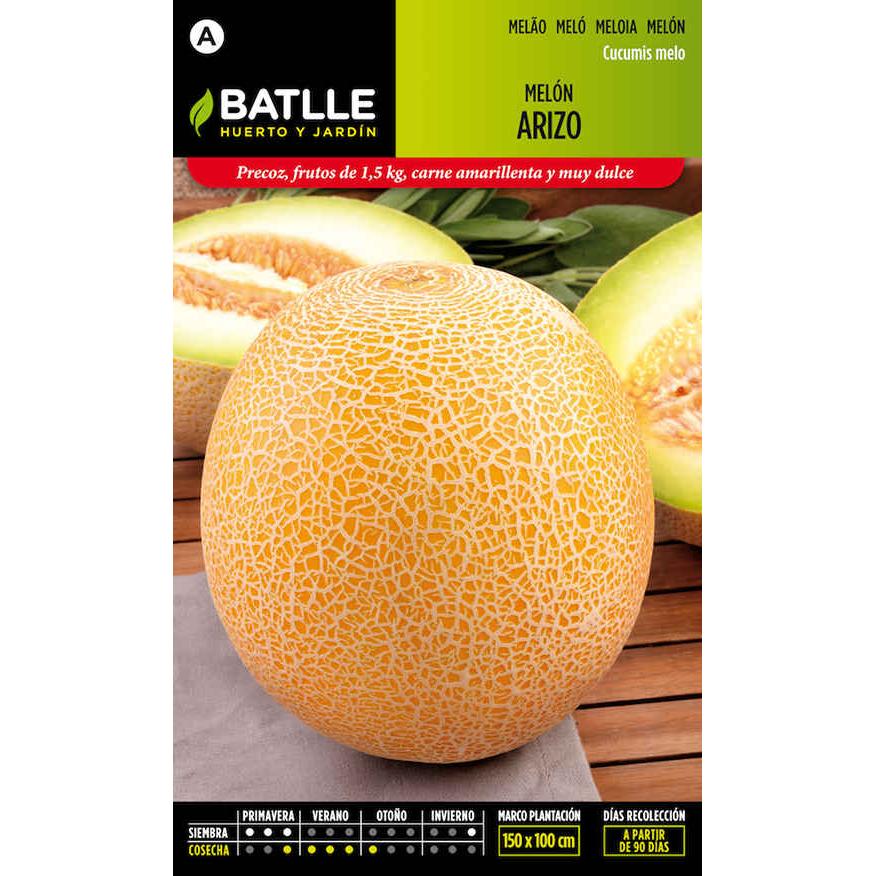 Semillas de Melón | Leroy Merlin