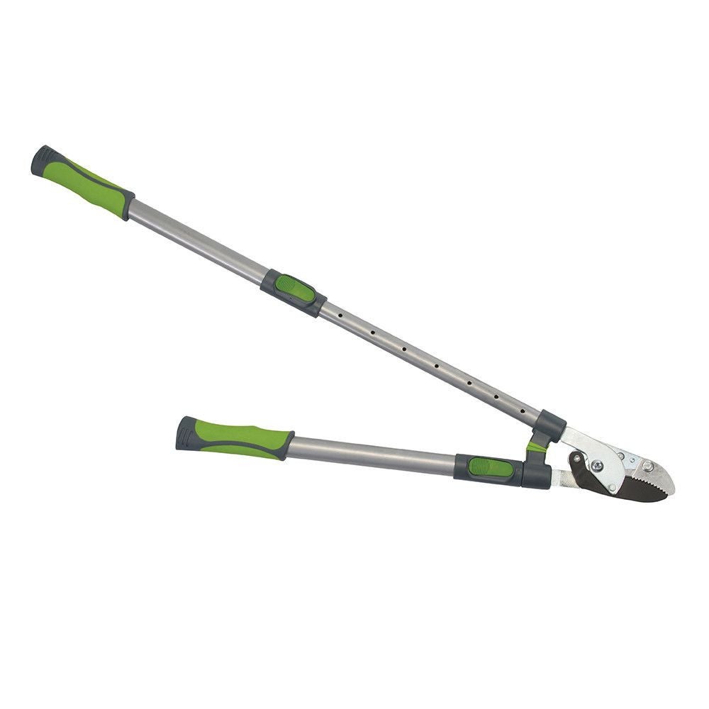 EBRANCHEUR TELESCOPIQUE COUPE BRANCHE A ENCLUME | Leroy Merlin