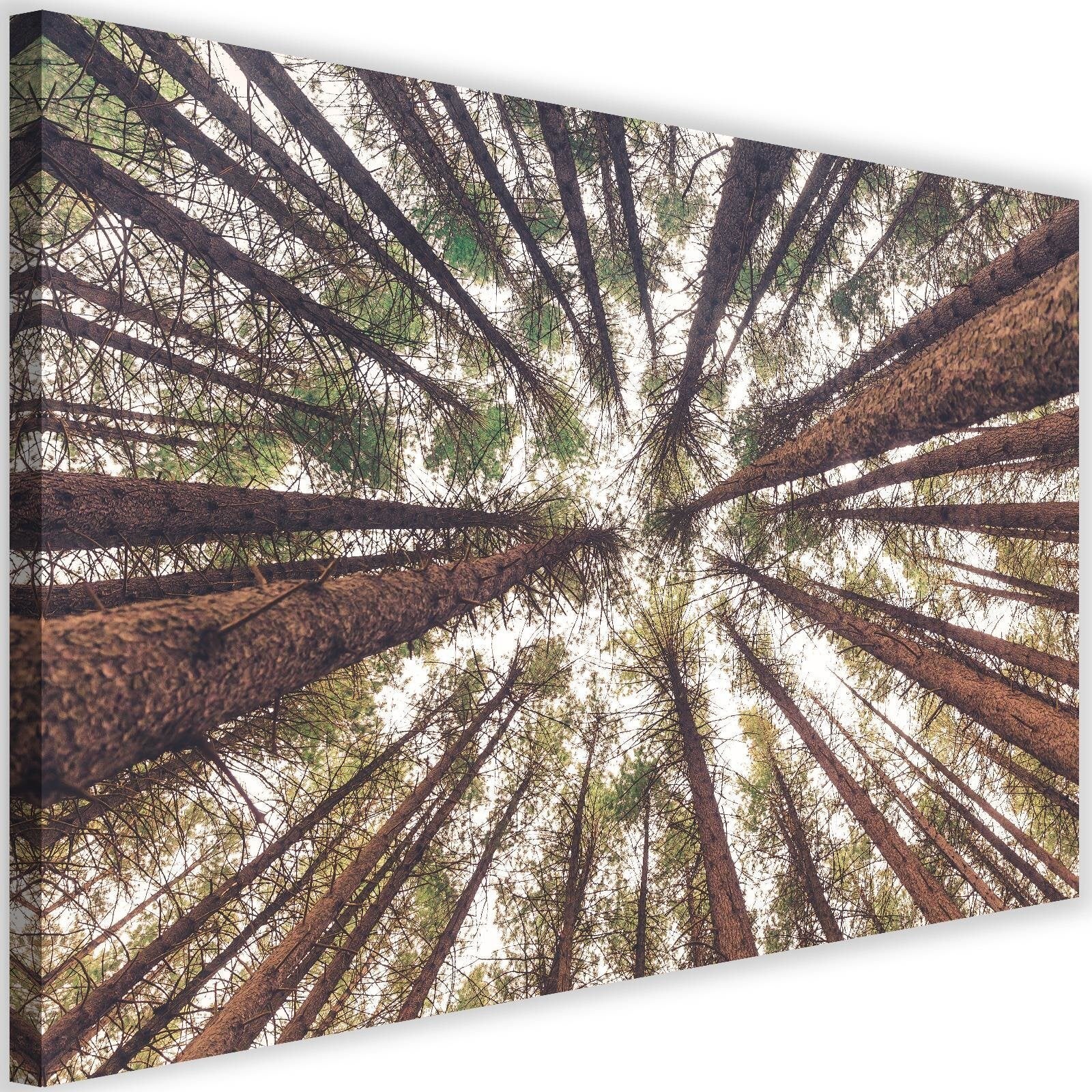 Tableau grands pins - 120 x 80 cm | Leroy Merlin