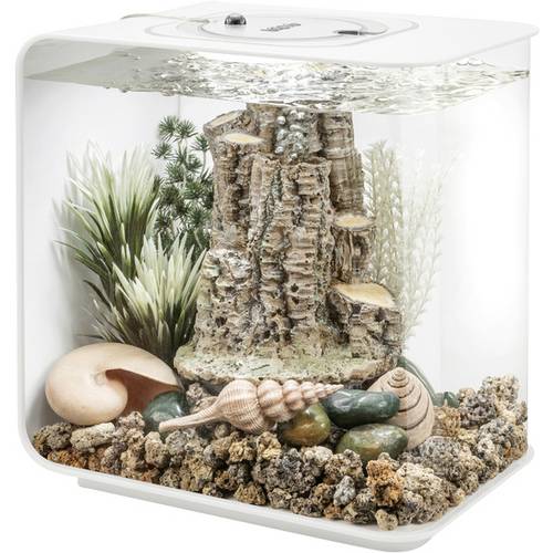 OASE biOrb 86372 biOrb Decor Set Forest Rhythym Décoration pour ...