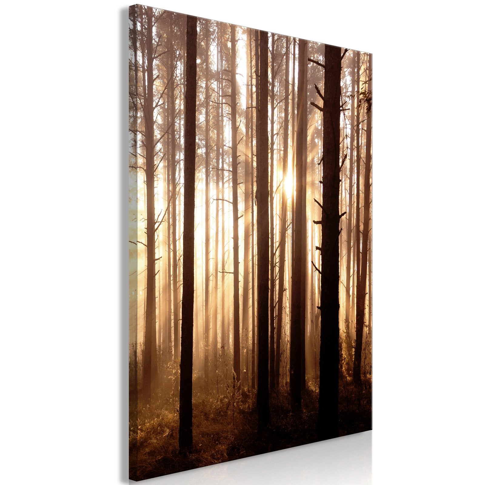 Tableau Forest Paths (1 Part) Vertical - 80 x 120 cm | Leroy Merlin