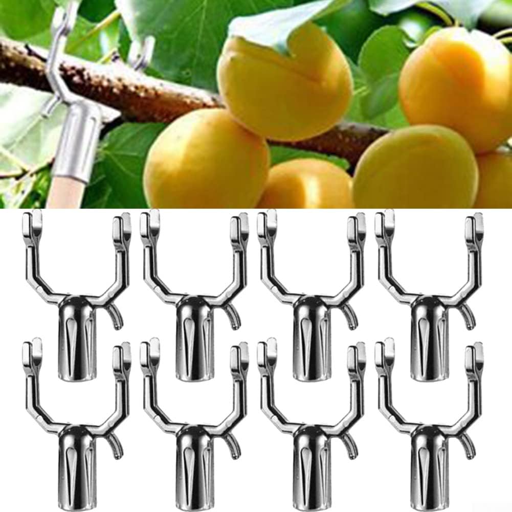 Support pour branches de fruits (8 pièces) - Support pour branches de ...