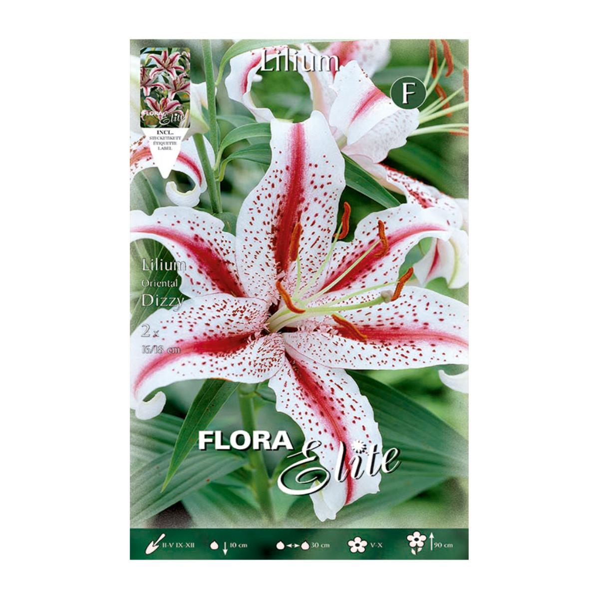 Bulbo Lilium Oriental | Leroy Merlin