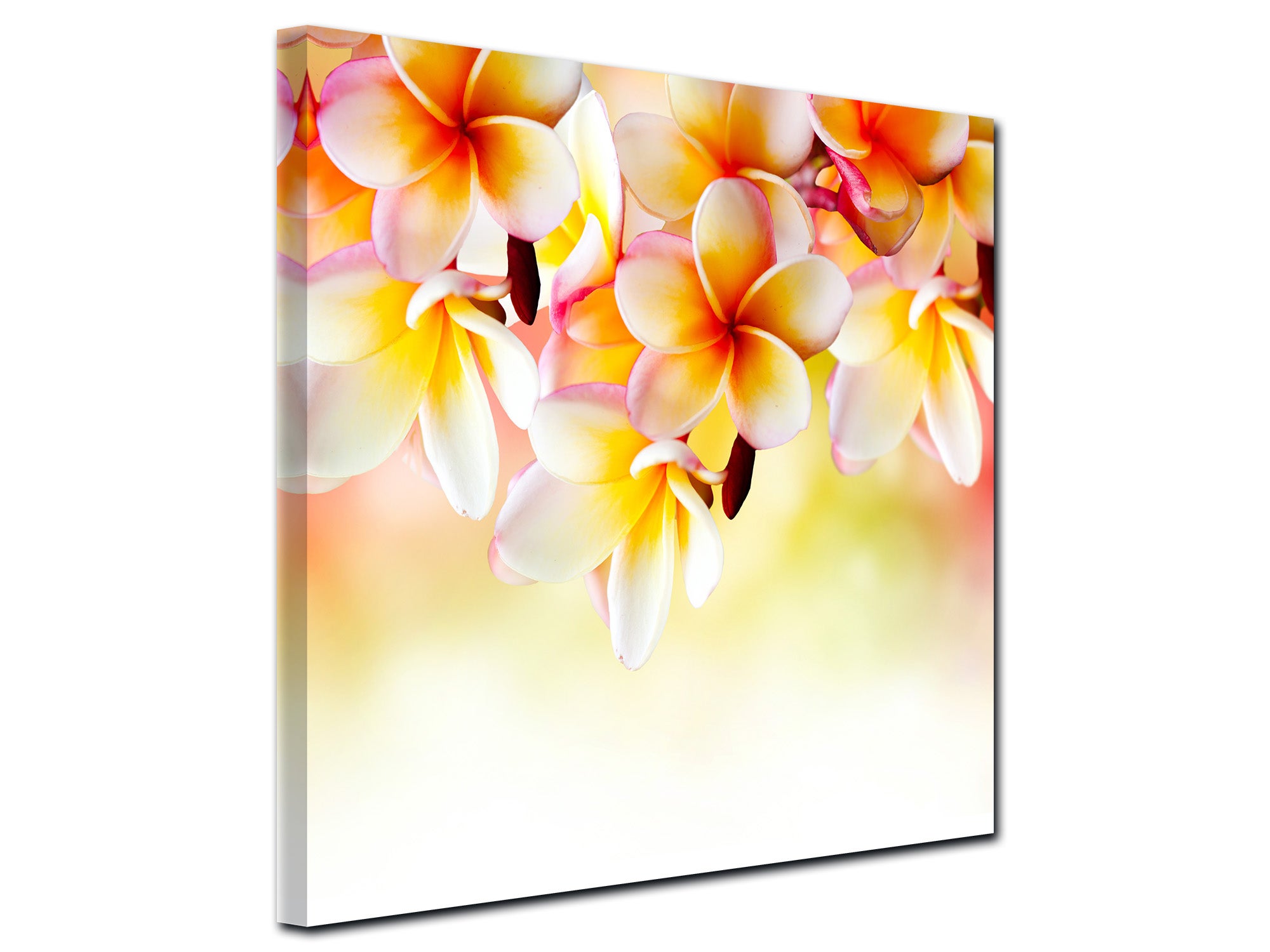 DECLINA, Tableau toile imprimée, Tableau déco toile fleurs Frangipanier ...