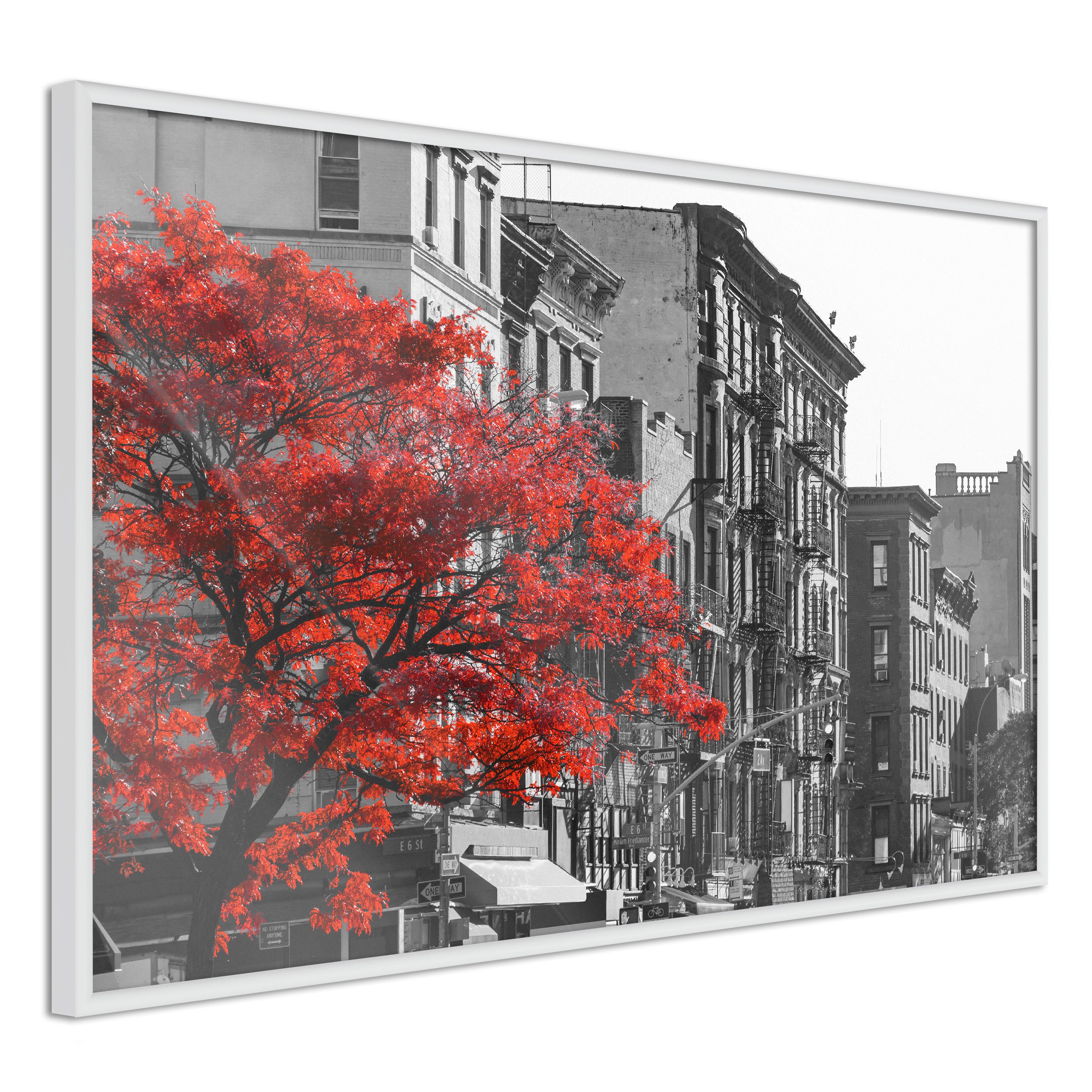 Poster et affiche - Autumn Colours II - 60x40 | Leroy Merlin
