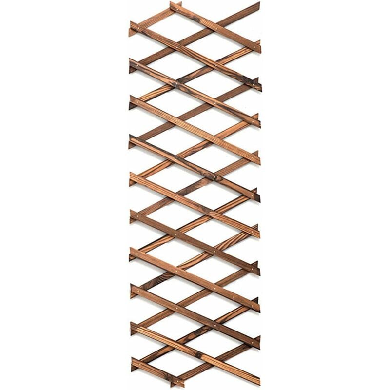 Treillis extensible en bois à suspendre pour plantes grimpantes ...