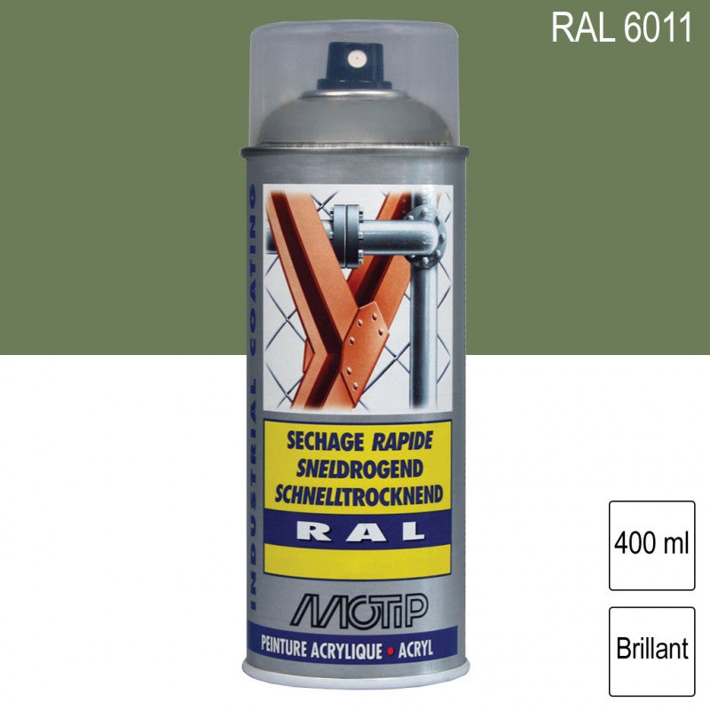 Peinture aérosol RAL 6011 Vert réséda brillant 400ml MOTIP | Leroy Merlin