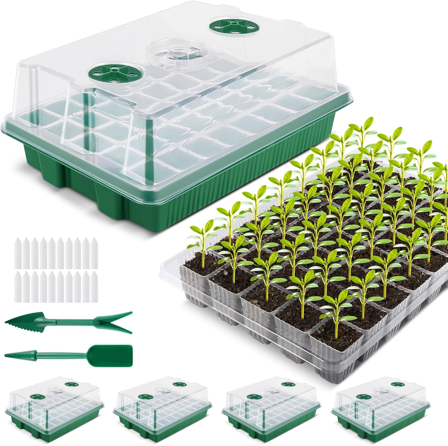 Mini invernadero para plantas, bandeja para plántulas de interior con ...