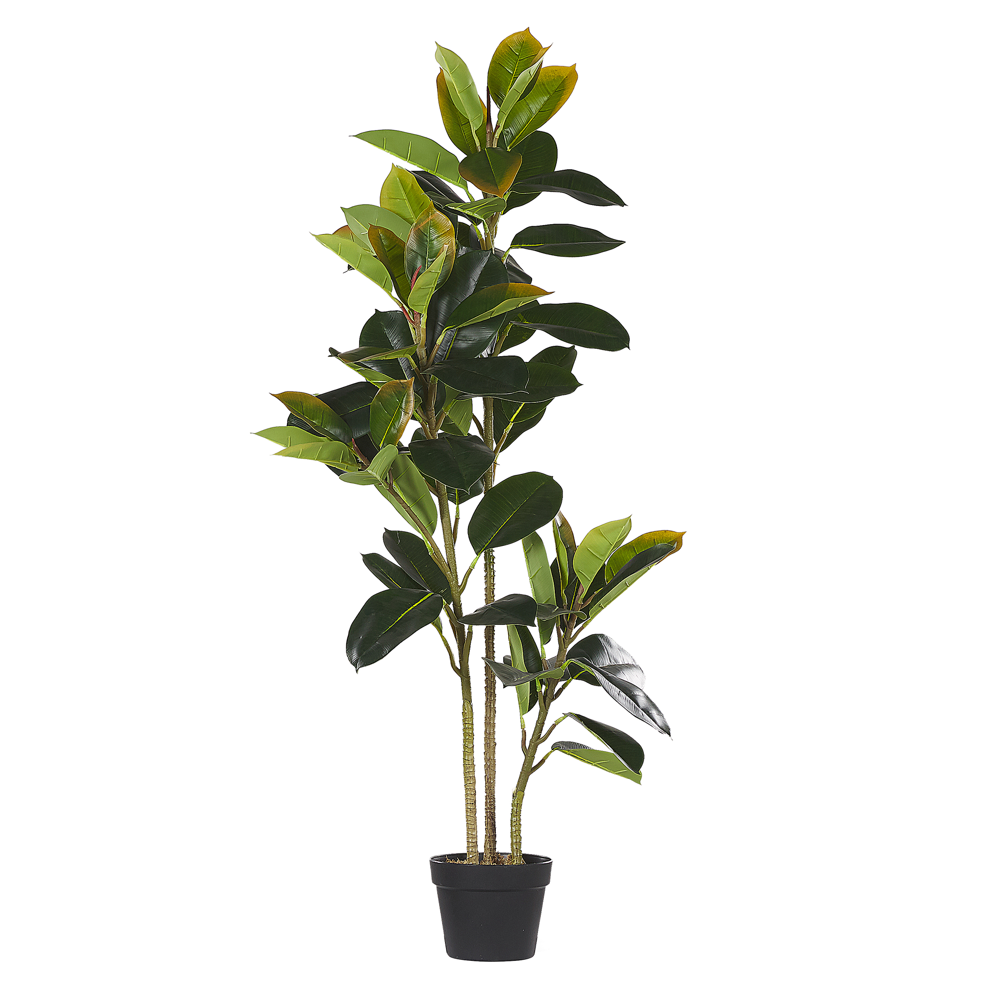 Pianta artificiale FICUS ELASTICA Verde | Leroy Merlin