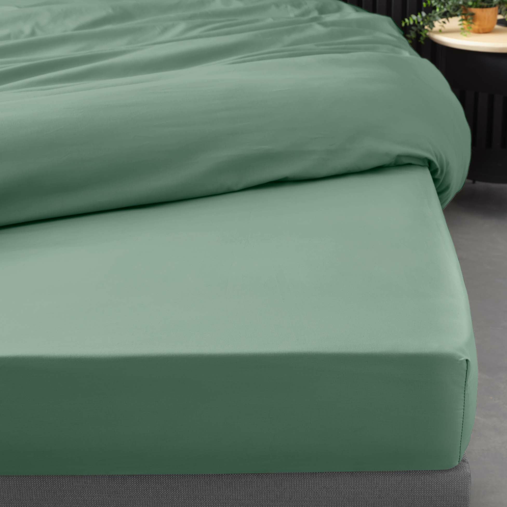 Drap Housse 180 x 200 cm – Percale Unie 78 Fils – Tilleul | Leroy Merlin