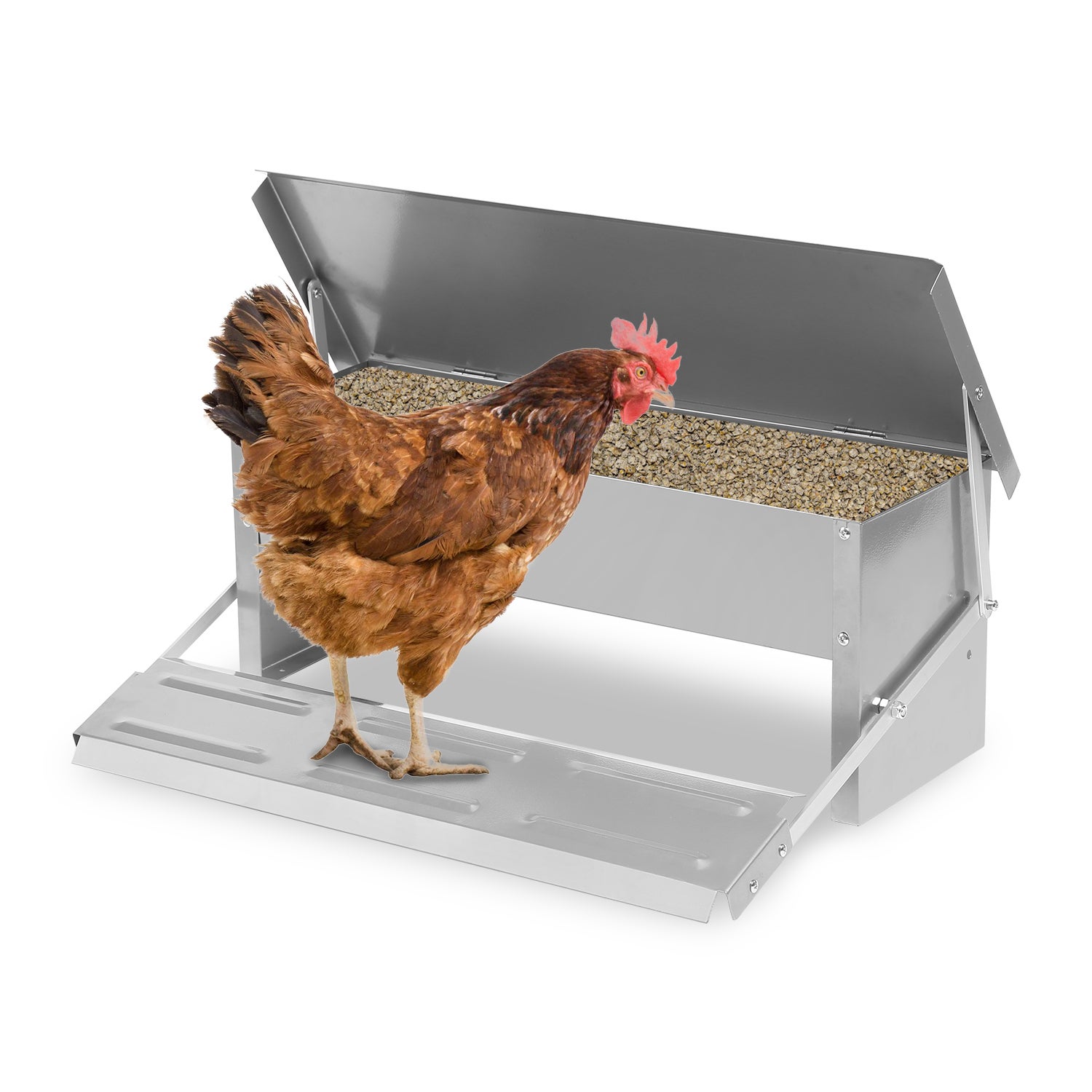 Comedero automático para pollos de 5 kg - Comedero de pedal para ...