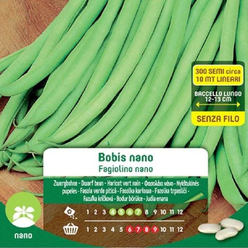 Bobis Nano Dwarf Green Bean Semillas En Maxi Bolsa | Leroy Merlin