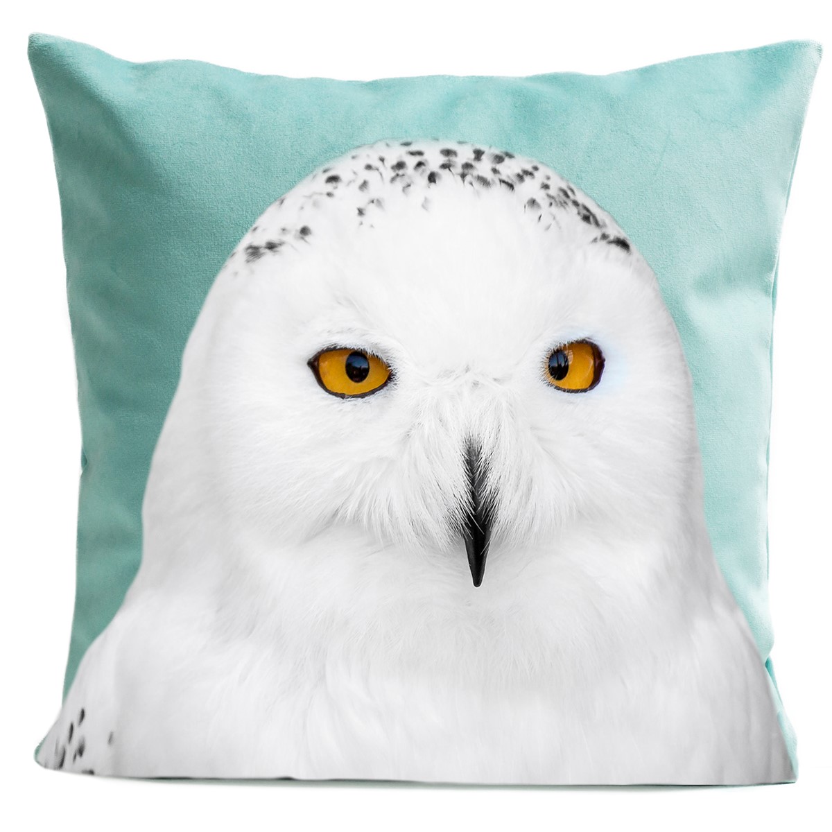 Coussin chouette, Snowy Owl | Leroy Merlin