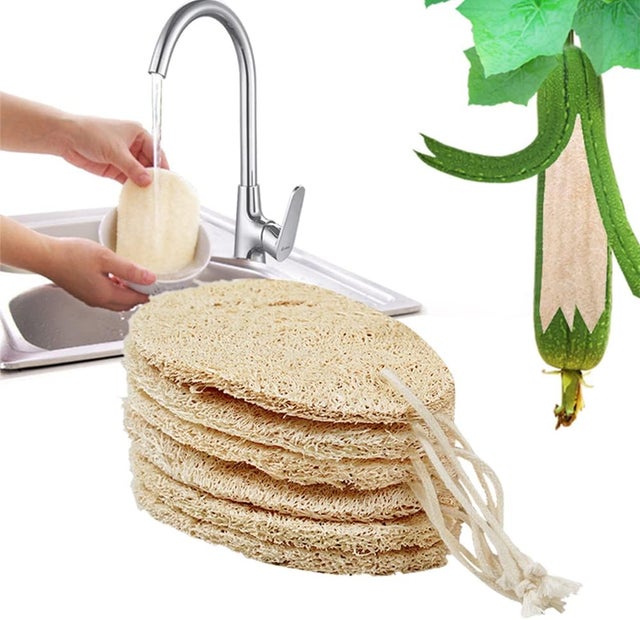 Éponge luffa au meilleur prix | Leroy Merlin