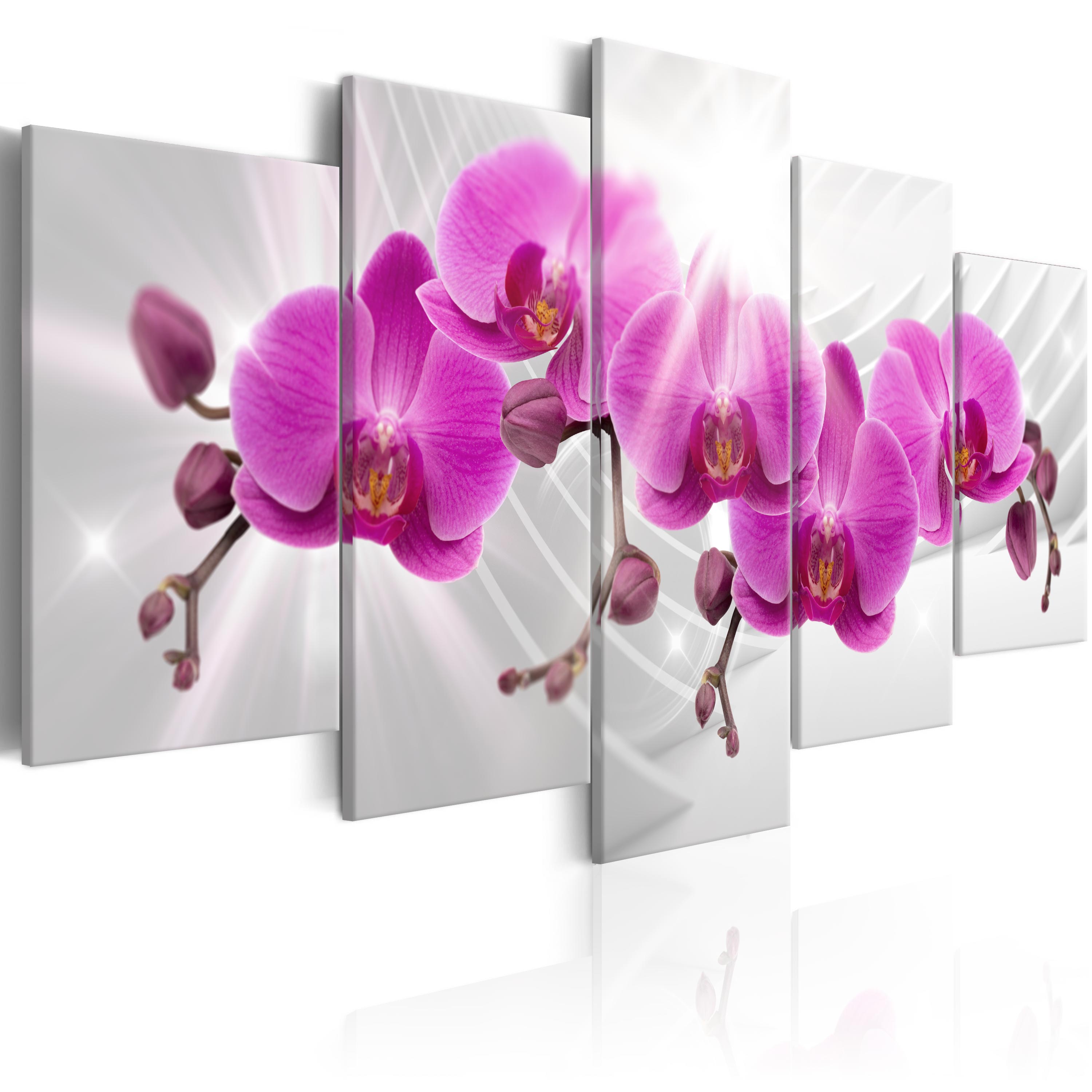 Tableau - Abstract Garden: Pink Orchids [100x50] | Leroy Merlin