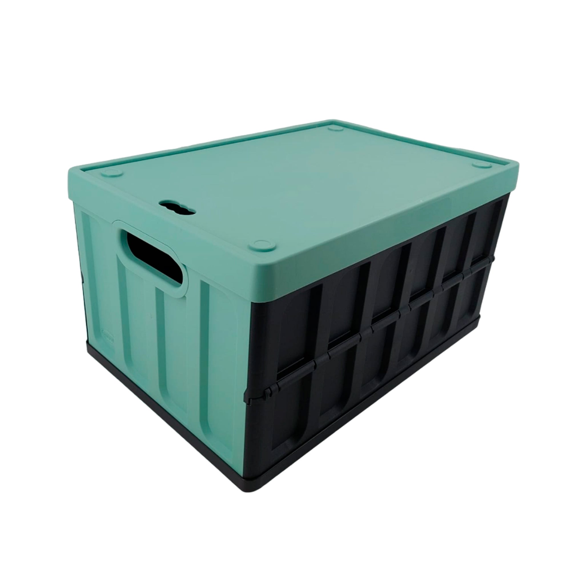 Caja multiusos Tontarelli 62L verde y negro | Leroy Merlin
