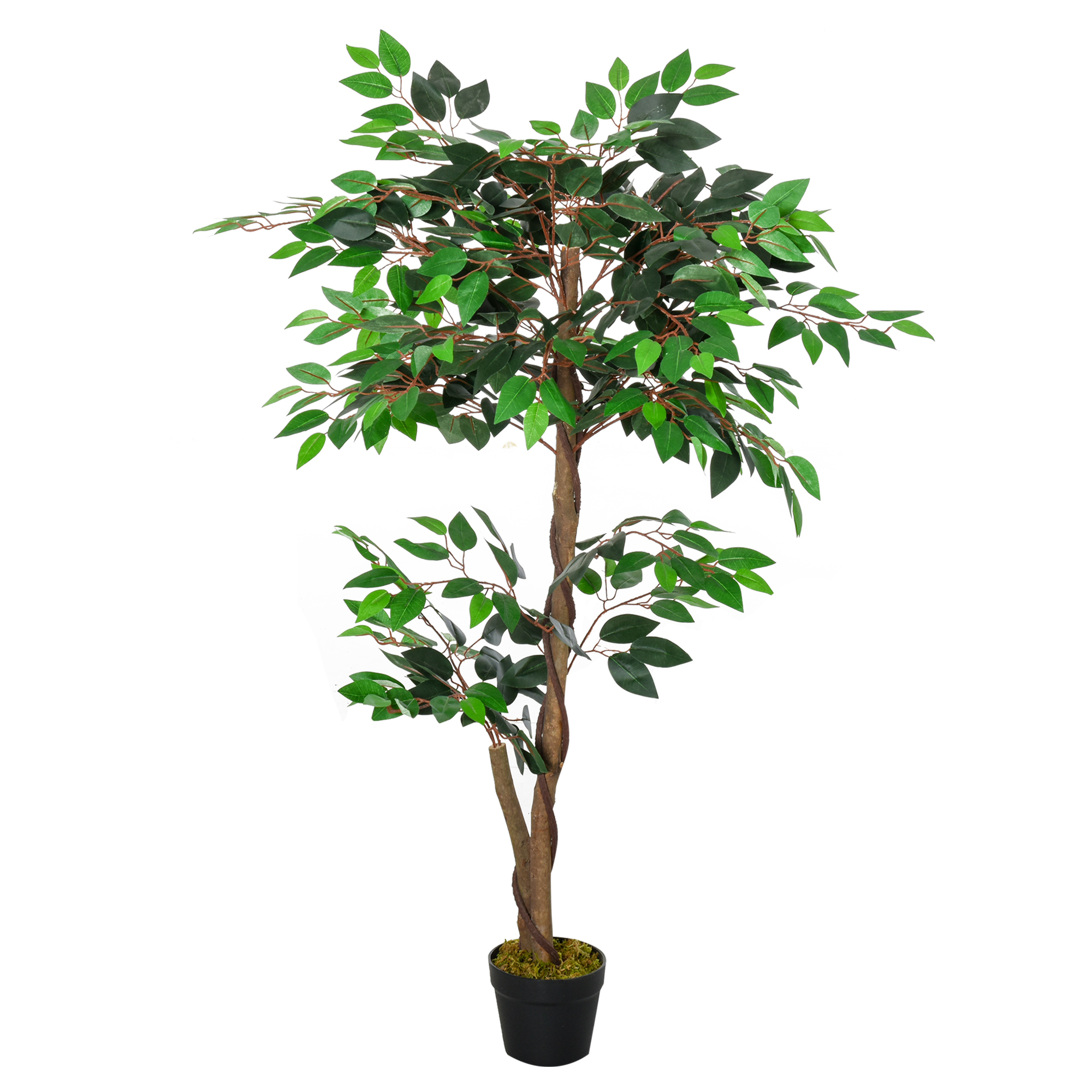 Plante artificiel ficus hauteur 1,2 m tronc branches liane lichen ...